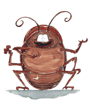 Funkybooks - Award-winning children's books